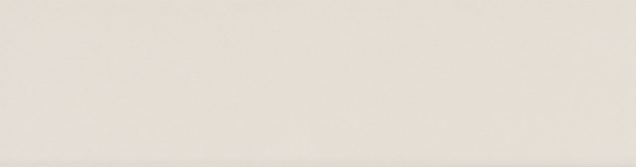 Neutral Shell BR 7x26 - Eliane Ceramic Tiles